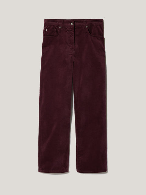 Delmont Velvet Tapered Jean | Purple – Jigsaw